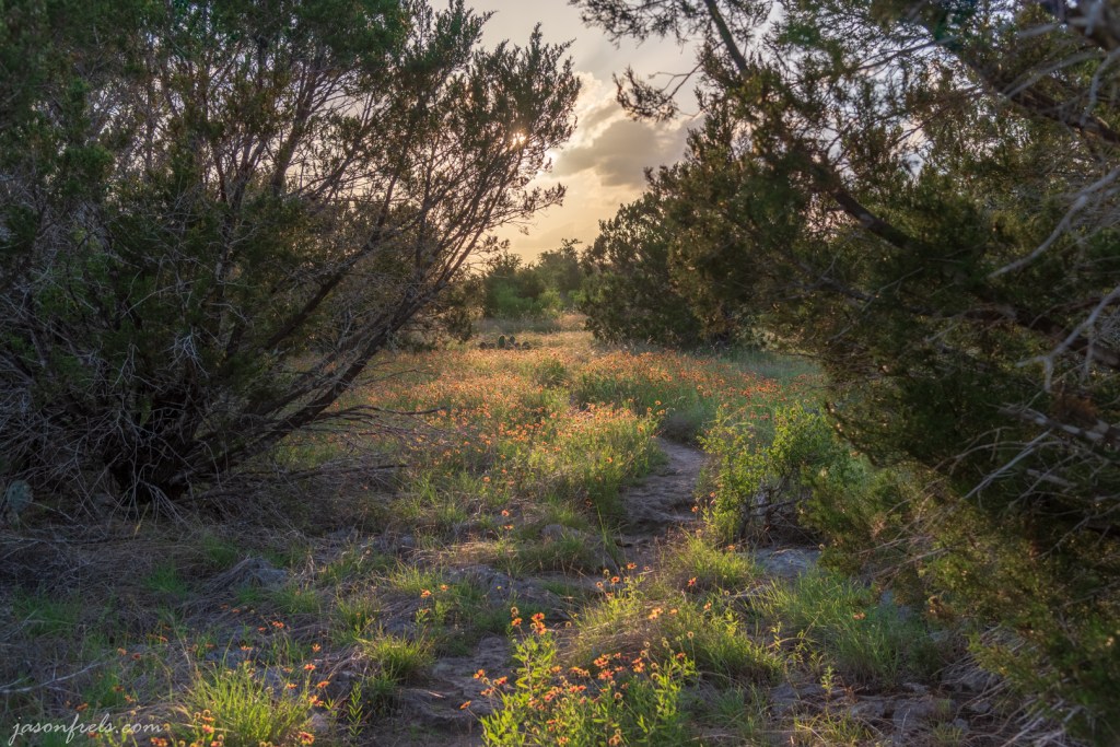 Balcones Canyonlands National Wildlife Refuge – Jason Frels