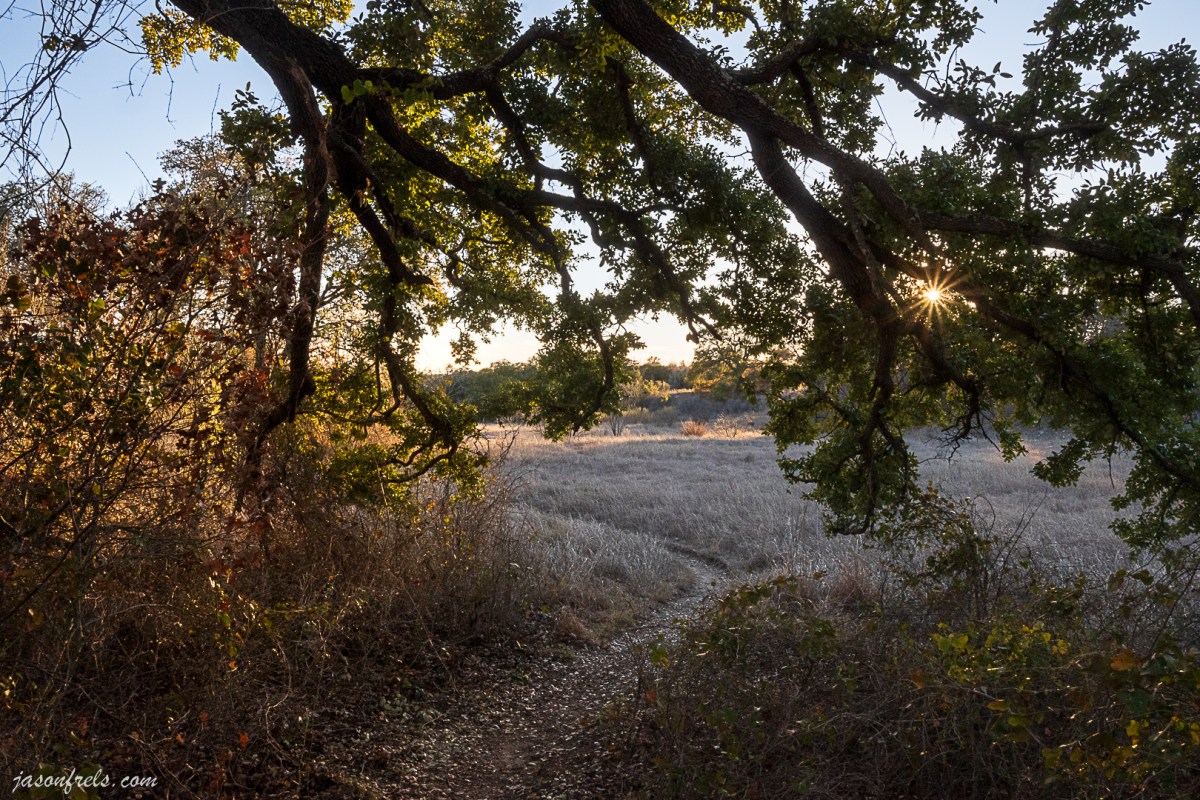 Patiently Awaiting Spring – Jason Frels